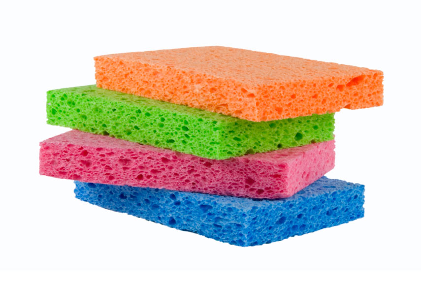 Are You a Sponge, Sword, or Stone? | A Pilgrim's Friend